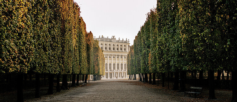 Natur in & um Wien Entdecke Wiens schönste grünen Orte