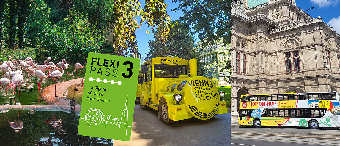 Vienna FLEXI Pass: Zoo & Sightseeing